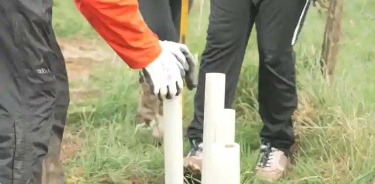 Carma Tree Planting - Case Study - Vermillion Films